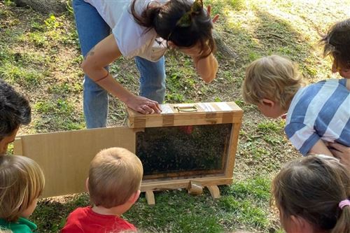 Let it bee: attività multisensoriali e giochi di ruolo alla scoperta ...